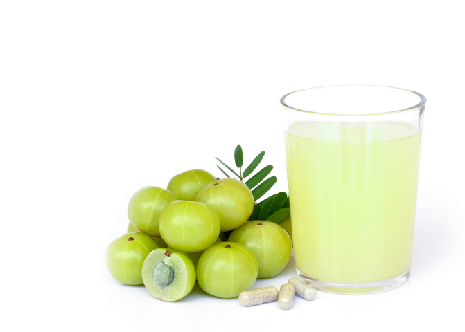 Phyllanthus Emblica Extract Powder – prxeenterprise.com